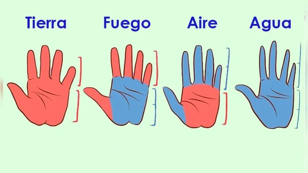 Lo que dice de tu personalidad la forma de tus manos | Sociedad | La ...