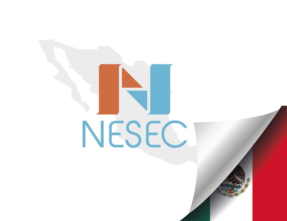 Nesec: Innovación, tecnología, procesos, servicio y calidad | Economía ...