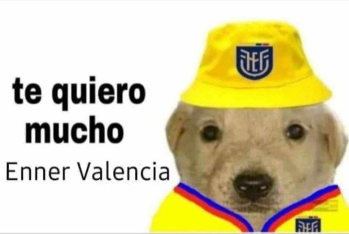 Enner Valencia, proclamado como ‘héroe y presidente’: los memes tras la ...