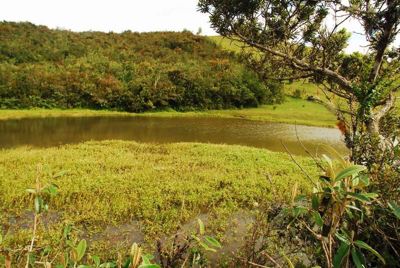 Turismo en Azogues: estos son algunos atractivos que están dentro y ...