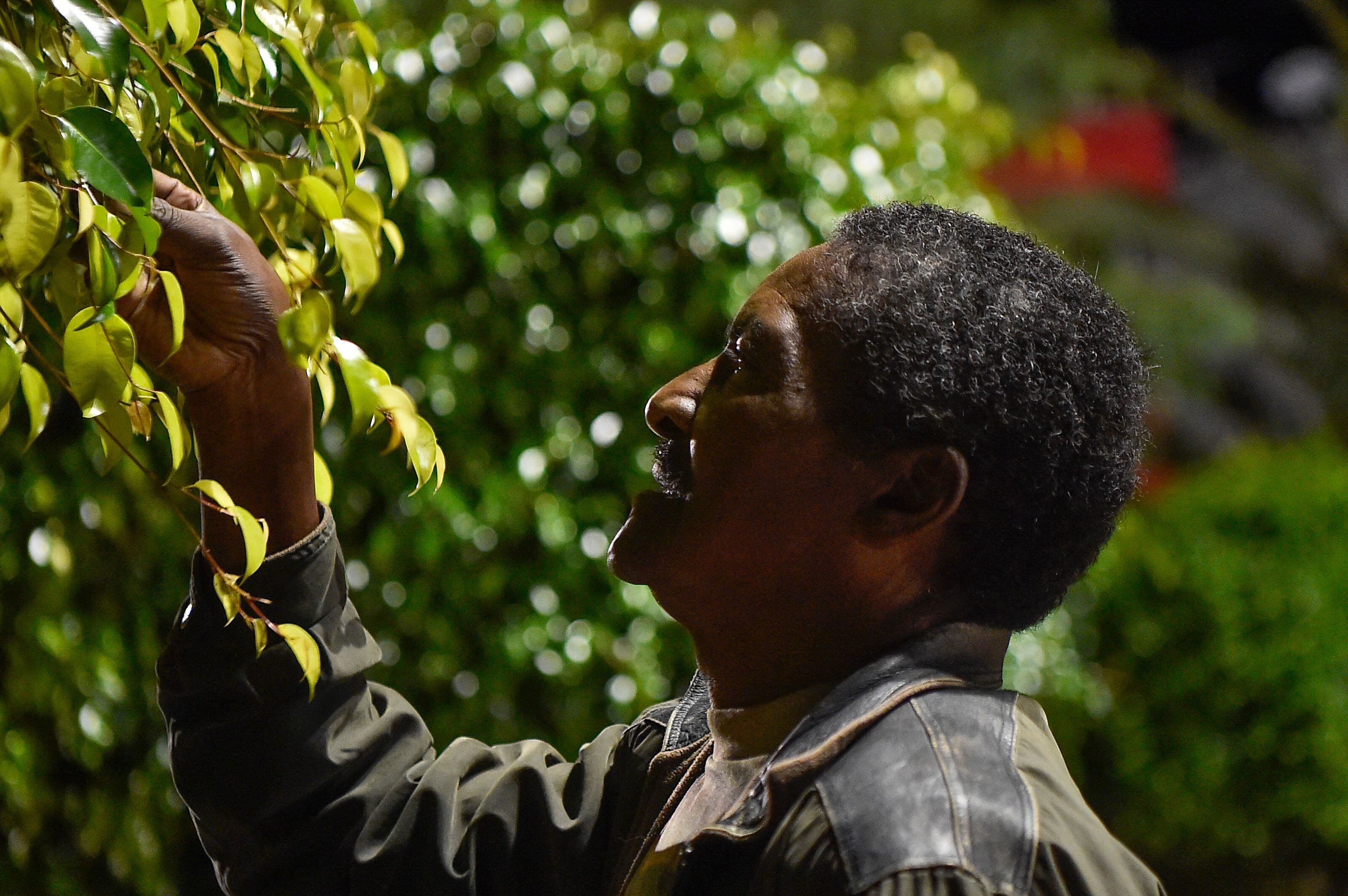 ‘Banda mocha’, la original agrupación de Chalguayacu que convierte las ...
