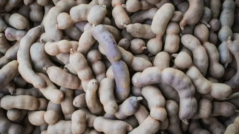 Las palabras y expresiones en español que provienen del árabe (y que ...