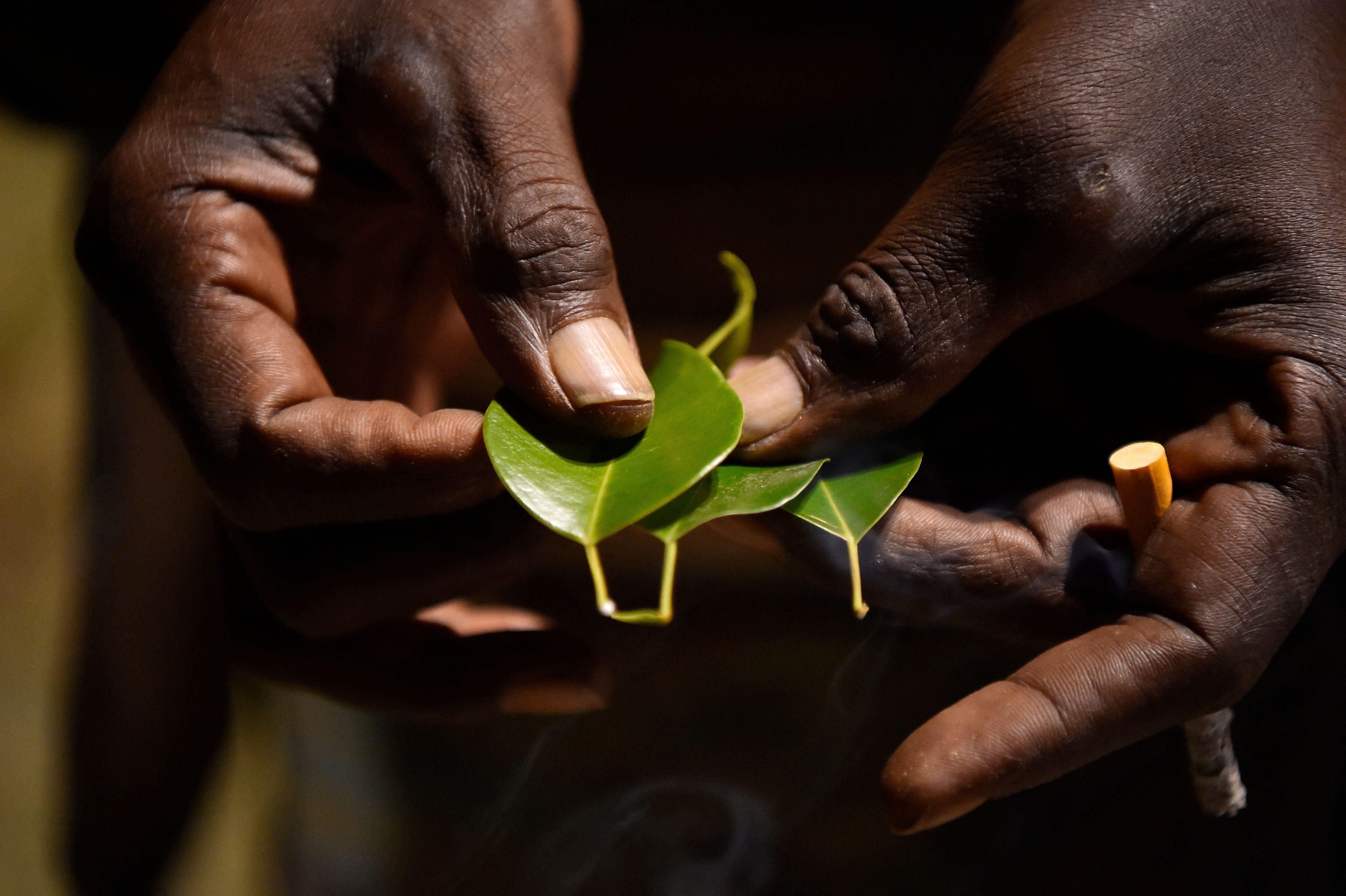 ‘Banda mocha’, la original agrupación de Chalguayacu que convierte las ...