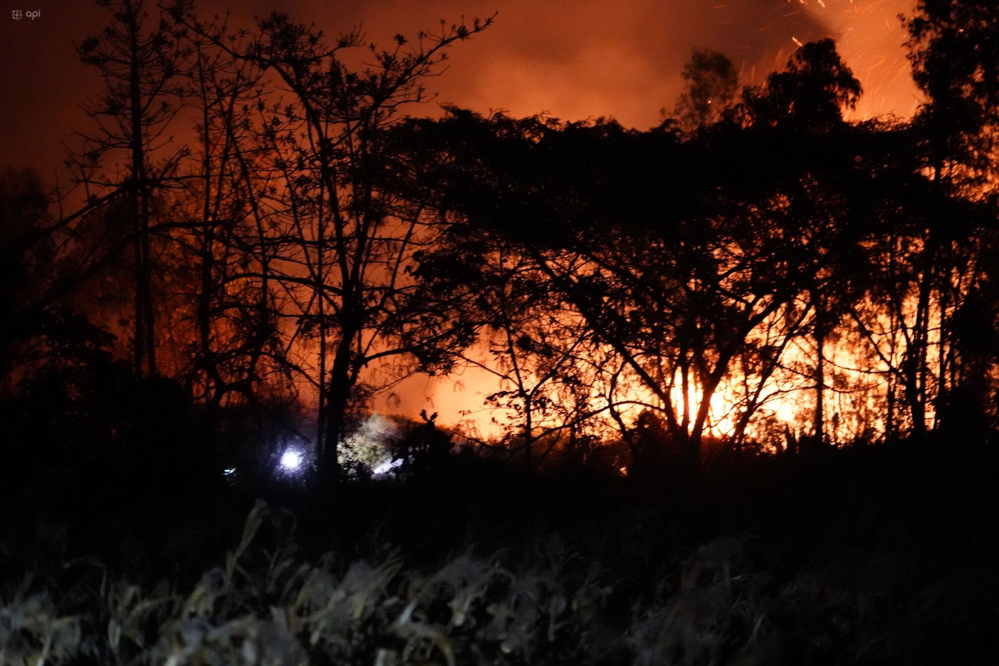 Los Incendios Forestales De Quito En Imágenes Están Controlados Pero