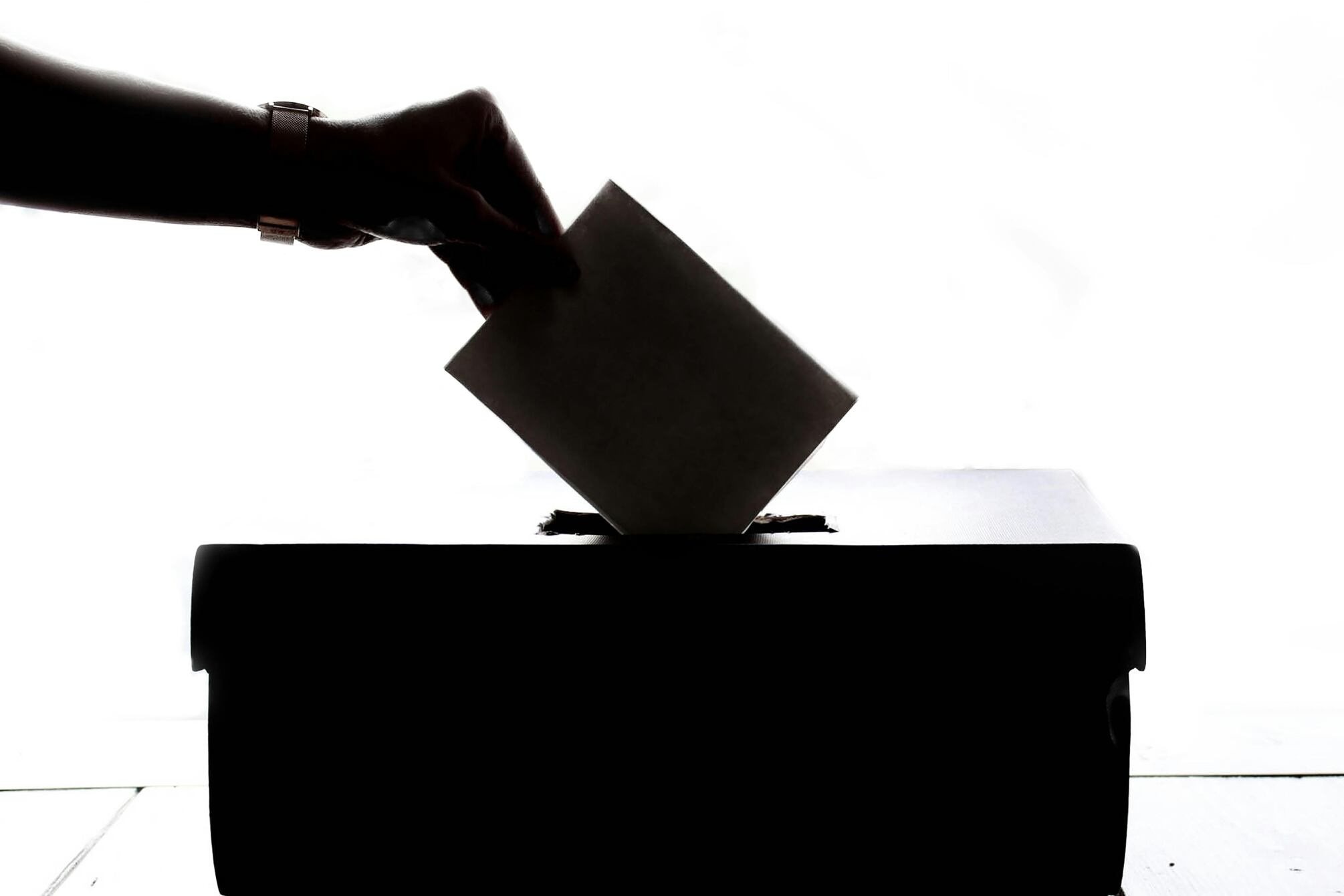 Quiénes Están Habilitados Para Votar En La Consulta Popular Y